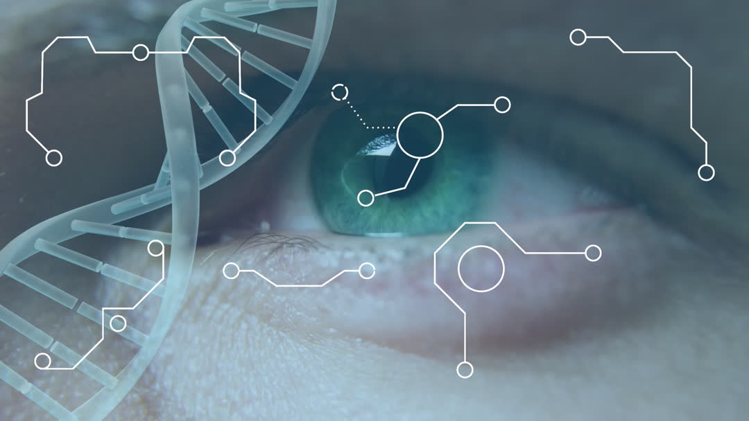 Human Eye with DNA Strand and Digital Connections Overlay - Free Stock ...