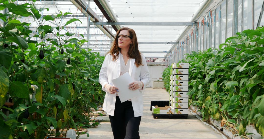 Agricultural Scientist Inspecting Greenhouse Crops from Pikwizard