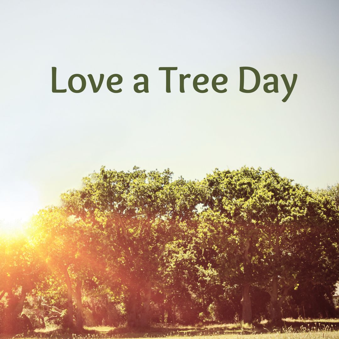 Love a Tree Day Concept with Sunlit Forest and Text Overlay - Free ...