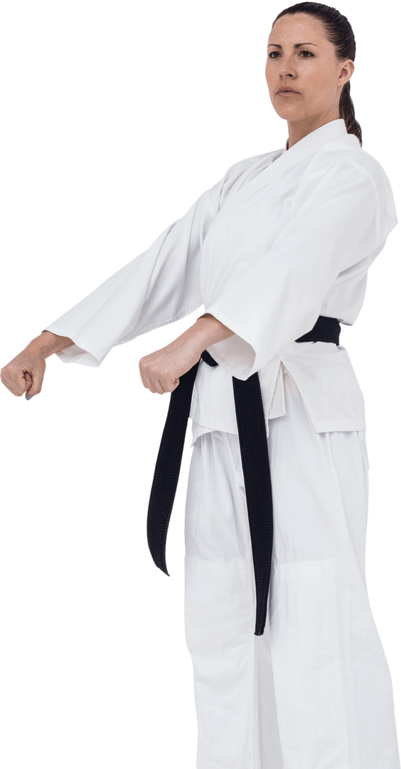 Transparent Karate Stance Practiced by Female Martial Artist - Free ...