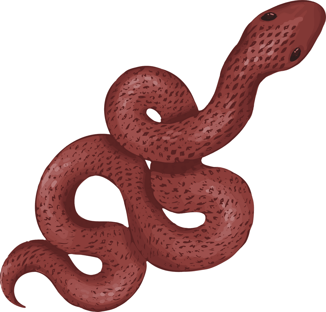Red snake coiling on transparent background with raised head - Free ...