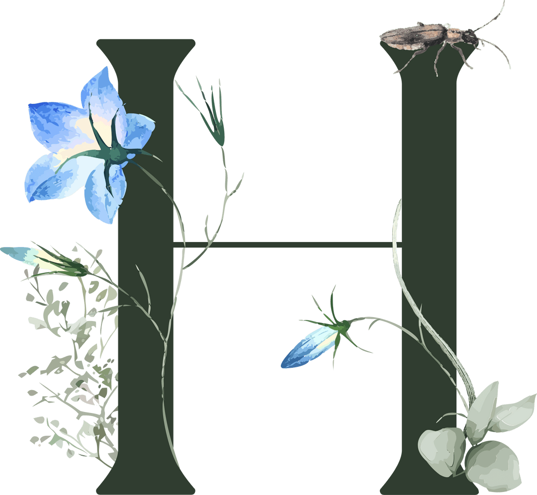 Illustrated Initial 'H' with Transparent Background and Botanical ...