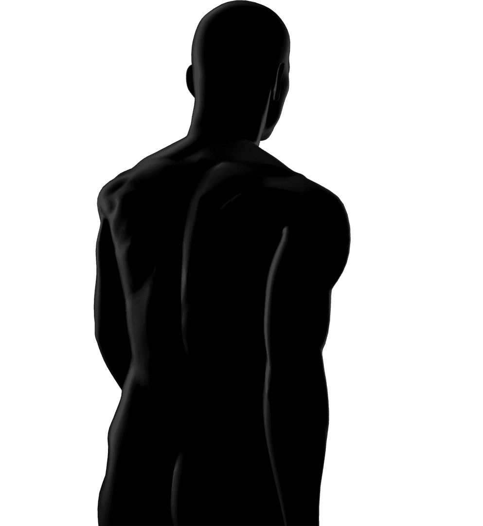Transparent Silhouette of Man's Back View, Isolated Human Body Anatomy ...
