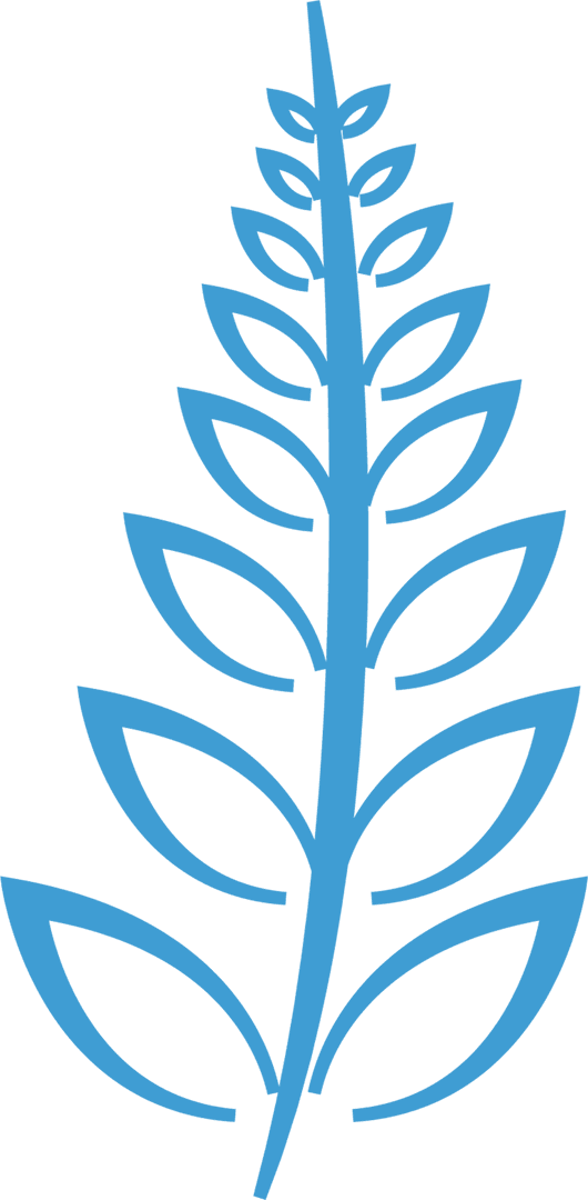 Blue Ear Illustrative Plant Figure on Transparent Background - Free ...