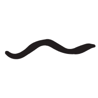 Wavy Black Line on Transparent Background Vector - Download Free PNG ...