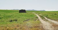 Remote Countryside Landscape with Rustic Path and Fields - Download ...