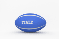 Italy Rugby Ball on Transparent Background for Sports Presentations ...