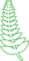 Transparent Green Leaf Fern Outline Illustration Vector - Download Free ...