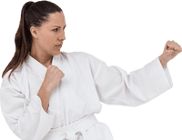 Confident Female Karate Fighter in a Transparent Stance - Download Free ...