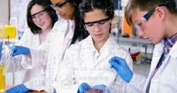 Diverse Students in Lab Coats Performing Science Experiment with Math ...