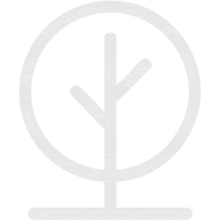 Transparent Tree Symbol Vector Illustration Isolated Background ...