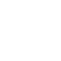 Transparent Bone Outline Drawing on Transparent Background - Download ...