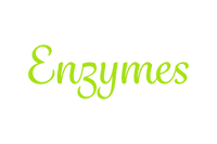 Green Enzymes Text Transparent Background PNG Science Concept ...