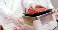 Workers Handling Raw Ground Beef in Meat Processing Plant - Download ...