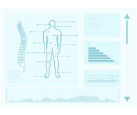 Transparent Anatomy Illustration of Human Body and Spine Schematics ...
