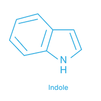 Transparent Molecular Structure Diagram of Indole - Download Free PNG ...