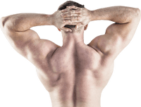 Bodybuilder Back View Showing Muscular Physique And Strength On ...