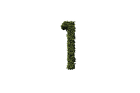 Green Grass Number 1 Vector on Transparent Background for Eco Design ...