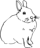 Transparent Outline Illustration of Rabbit on Clear Background ...
