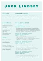 Professional Resume Featuring Clean, Organized Design - Download Free ...