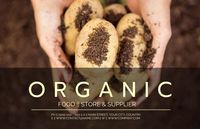Hands Holding Fresh Potatoes Promoting Organic Farming - Download Free ...
