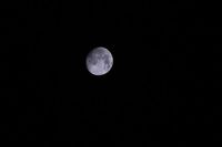 Half Full Moon in Night Sky from Pikwizard