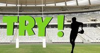Rugby Player Scoring Try in Enthusiastic Virtual Celebration - Download ...