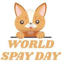 Cute Cartoon Cat for World Spay Day Awareness - Download Free Template ...