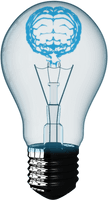 Transparent light bulb with human brain inside representing creativity ...