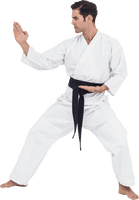 Martial Artist Practicing Karate in Transparent Background - Download ...