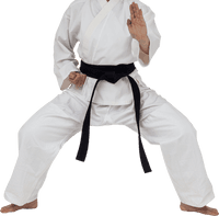 Martial Artist in Traditional Karate Stance Transparent Background ...