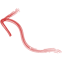 Hand-drawn Red Arrow Graphic on Transparent Background - Download Free ...