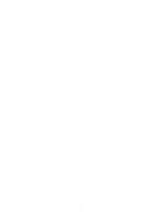 Stylized White Flame on Transparent Background Interpretative Art ...