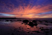 Free Stock Images With No Watermark | Download HD Pictures by Pikwizard