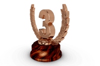 Bronze Third Place Trophy on Transparent Background - Download Free PNG ...