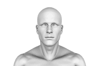 Human 3D Model on Transparent Background for Design - Download Free PNG ...