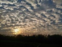 125 Free Stock Images With No Watermark | Download HD Pictures by Pikwizard