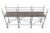 Transparent 3D Scaffold System with Wooden Planks Visually Detailed ...